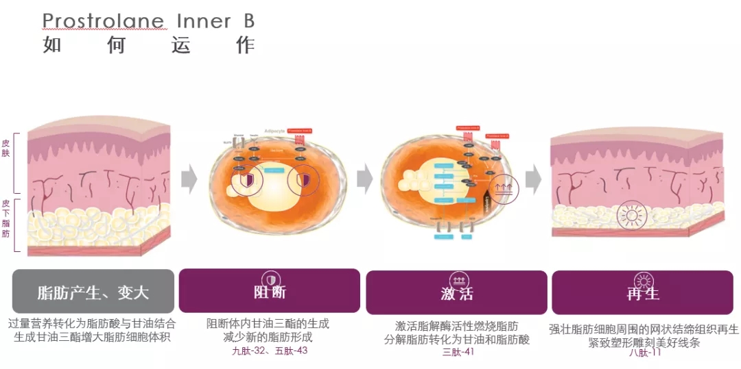 采美LIVE：德玛莉Inner B仿生肽精雕，不光要瘦还要有型采美信息中心
